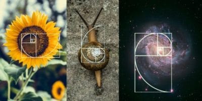 How To Use The Golden Ratio In Interior Design