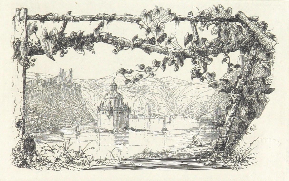 What Are the Types of Illustration You Should Know?