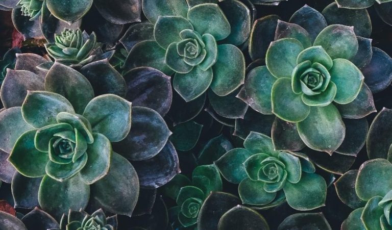 30 Amazing Repeating Pattern Designing Tips - Jae Johns