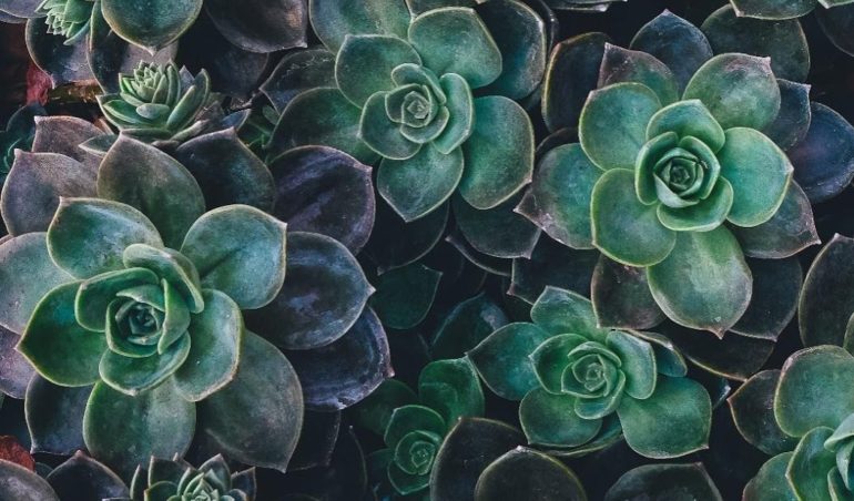 30 Amazing Repeating Pattern Designing Tips - Jae Johns