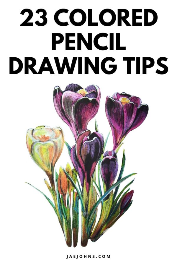 23 Easy Tips To Drawing With Colored Pencils