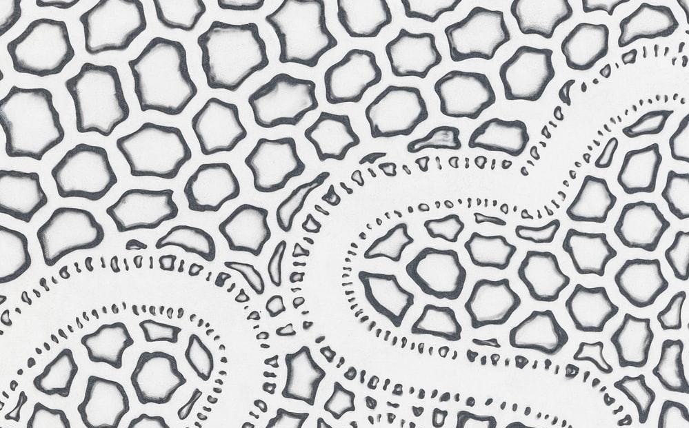 15 Best Line Drawing Exercises to Improve Your Art - Jae Johns