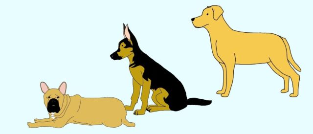 How to Draw Dogs - Easy Step by Step Tutorial for Cute Dogs