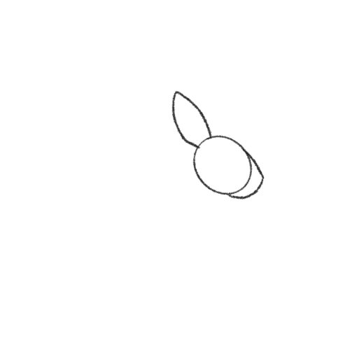 How to Draw a Bunny Easy: Draw a Cute Bunny Step by Step