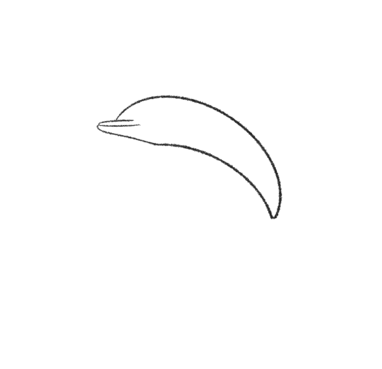 How to Draw a Dolphin (9 Easy Steps with Pictures)
