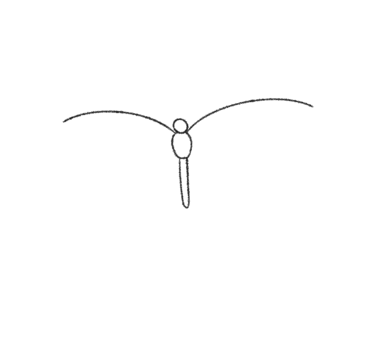 How to Draw a Butterfly (10 Easy Steps)