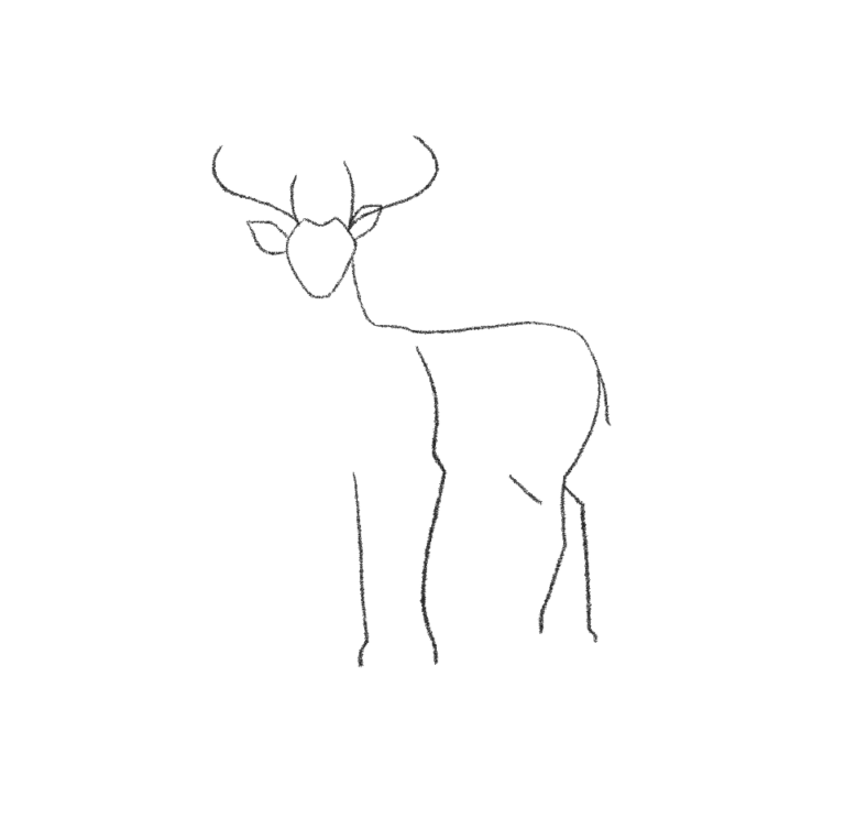 How to Draw a Deer (Easy Step by Step with Pictures)