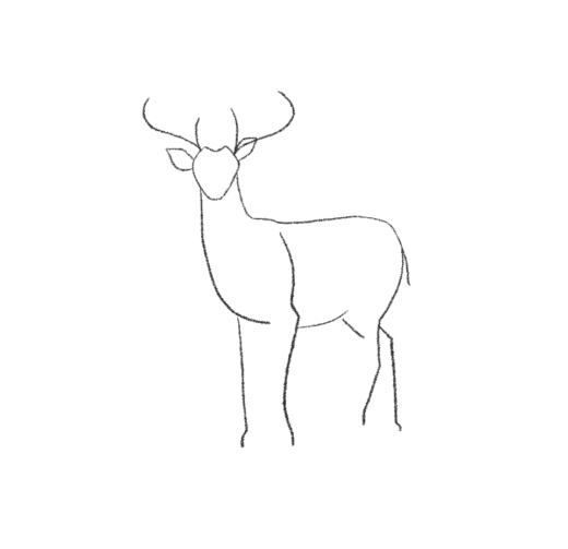 How to Draw a Deer (Easy Step by Step with Pictures)