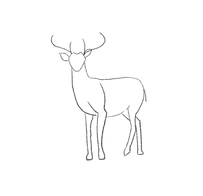 How to Draw a Deer (Easy Step by Step with Pictures)