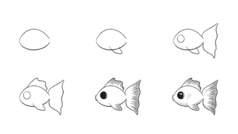 How to Draw a Fish (Step by Step with Pictures)