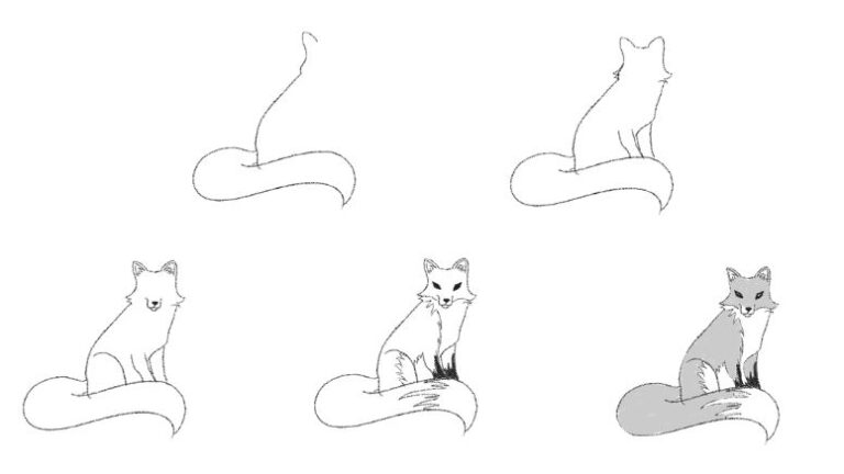How to Draw a Fox (Step by Step with Pictures)