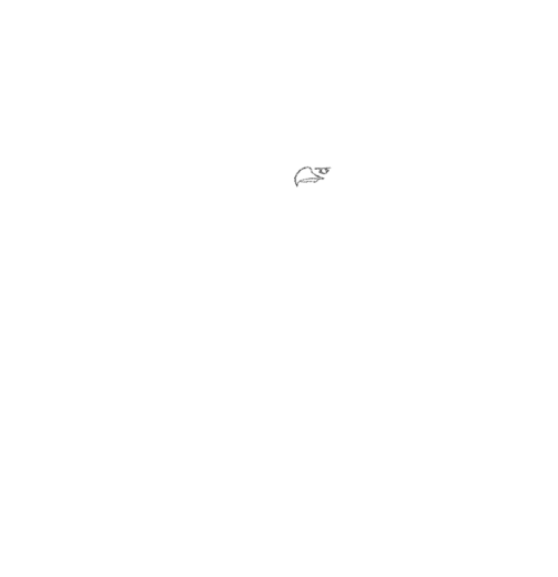 Drawing an Eagle by Autocad - McDonald Seneiver