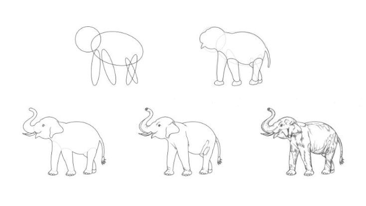 How to Draw a Realistic Elephant (5 Easy Steps)