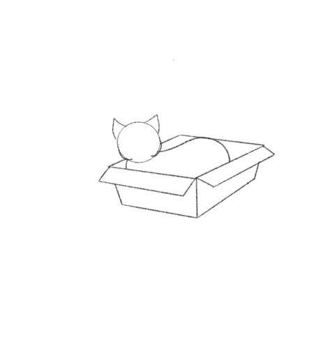 Draw a Cat in a Box in Quick and Easy Steps - Jae Johns