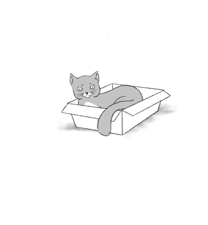 Draw a Cat in a Box in Quick and Easy Steps - Jae Johns