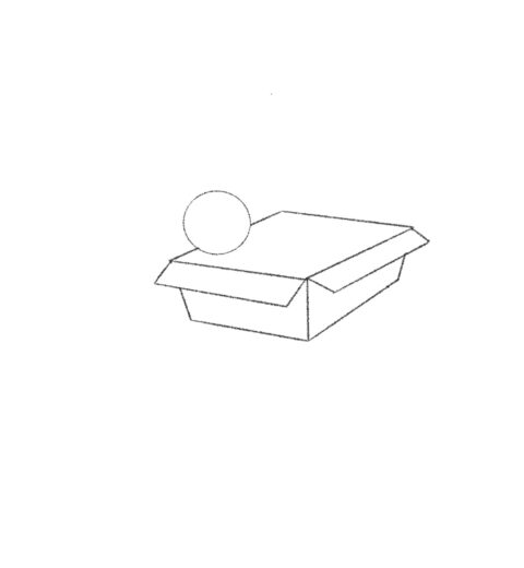 Draw a Cat in a Box in Quick and Easy Steps - Jae Johns