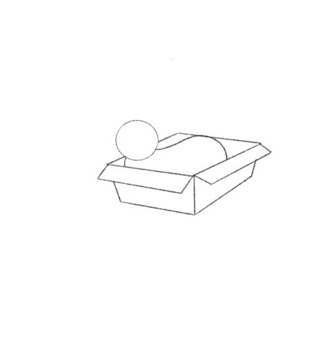 Draw a Cat in a Box in Quick and Easy Steps - Jae Johns