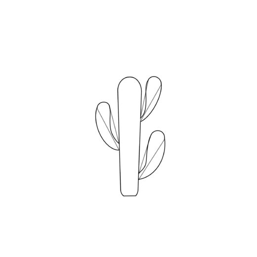 How to Draw a Realistic Cactus (5 Easy Steps)