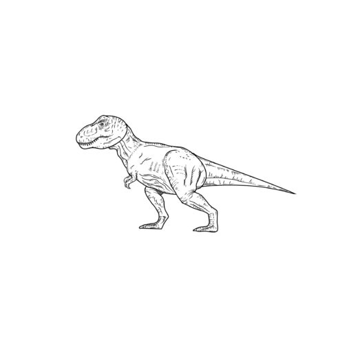 How to Draw a Realistic Dinosaur (5 Step by Step Pictures) - Jae Johns