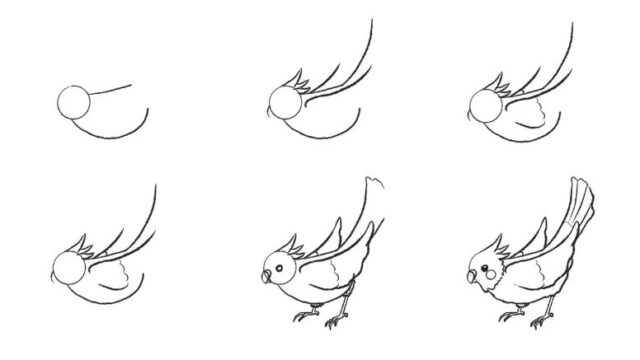 How to Draw a Small Bird - Easy Step by Step