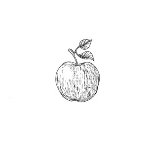 How to Draw an Apple with Shading - Jae Johns