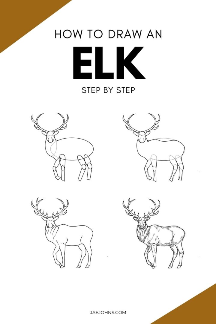 How to Draw an Elk in 5 Easy Steps - Jae Johns