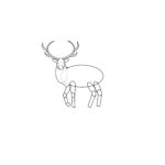 How to Draw an Elk in 5 Easy Steps