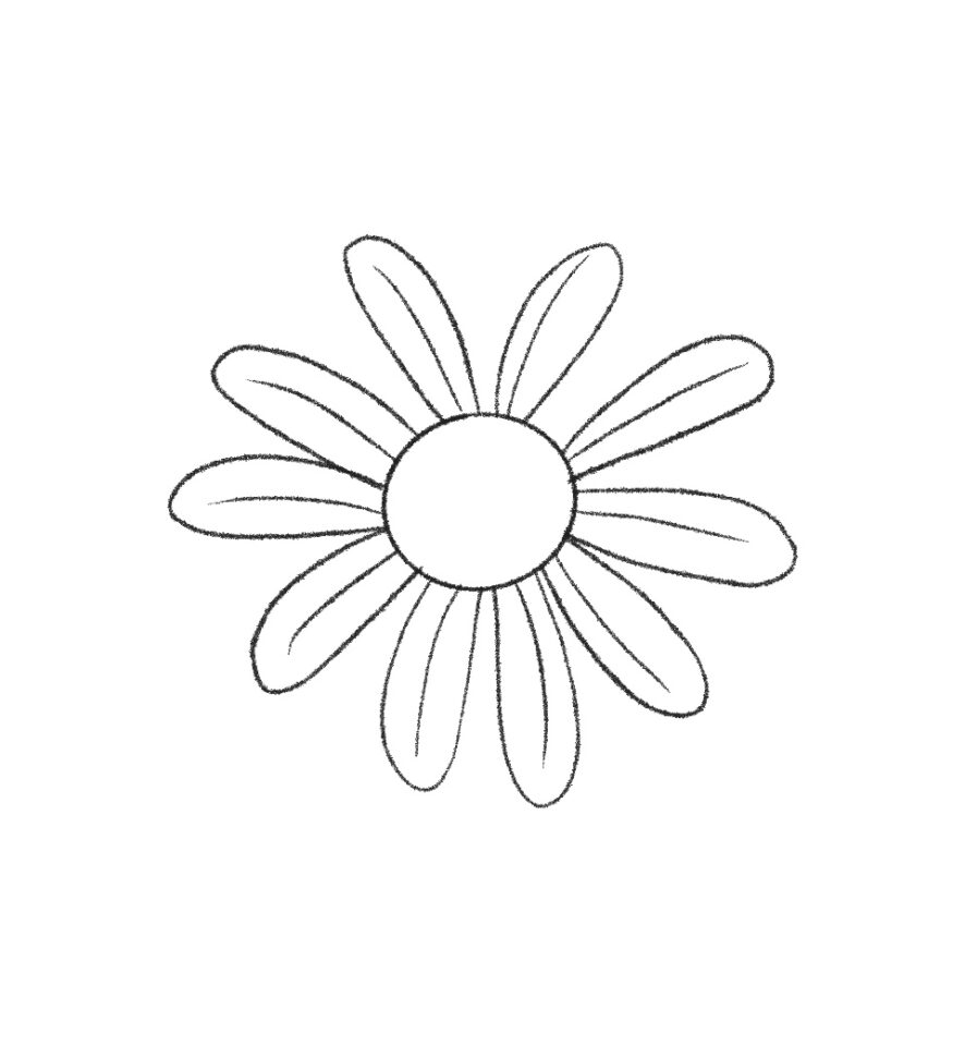 How to Draw a Realistic Daisy Quick Step by Step