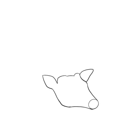 How to Draw a Deer Head in 8 Easy Steps