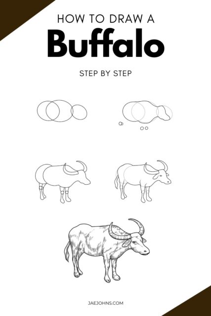 How to Draw a Realistic Buffalo | 5 Easy Steps - Jae Johns
