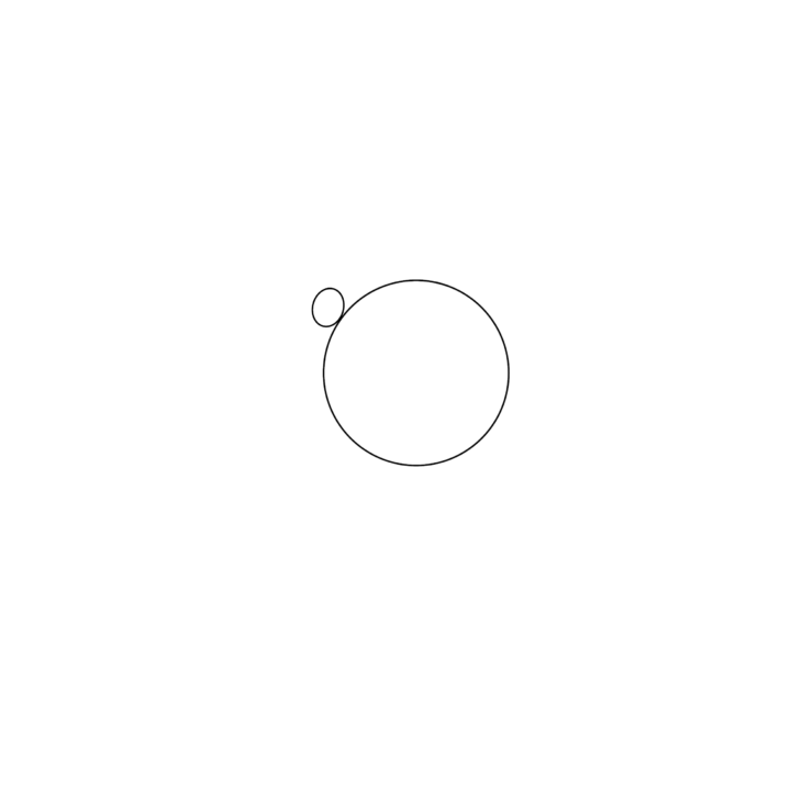 How to Draw a Realistic Cactus Flower (5 Easy Steps)