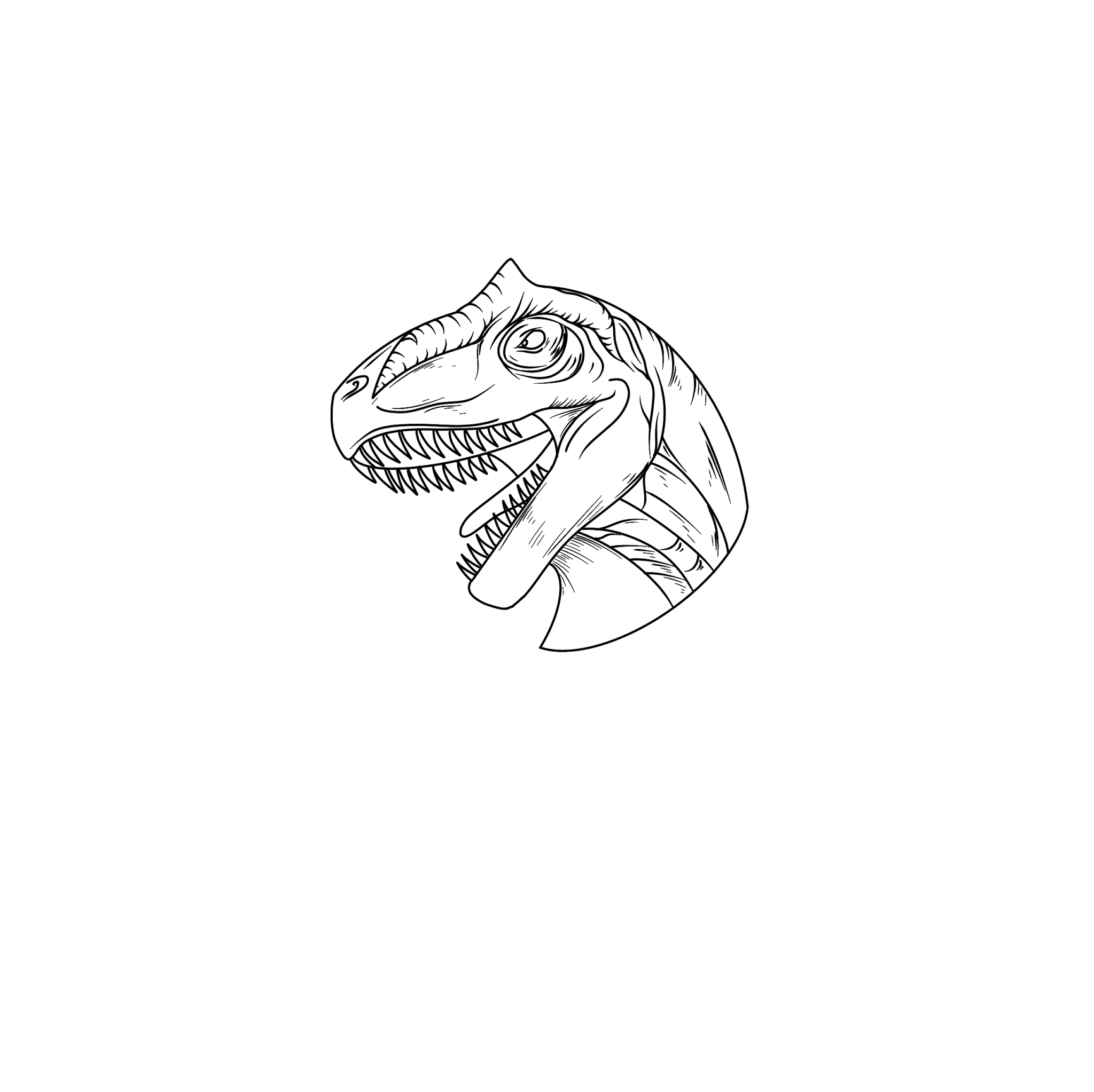 How to Draw a Dinosaur Head (5 Easy Steps) - Jae Johns