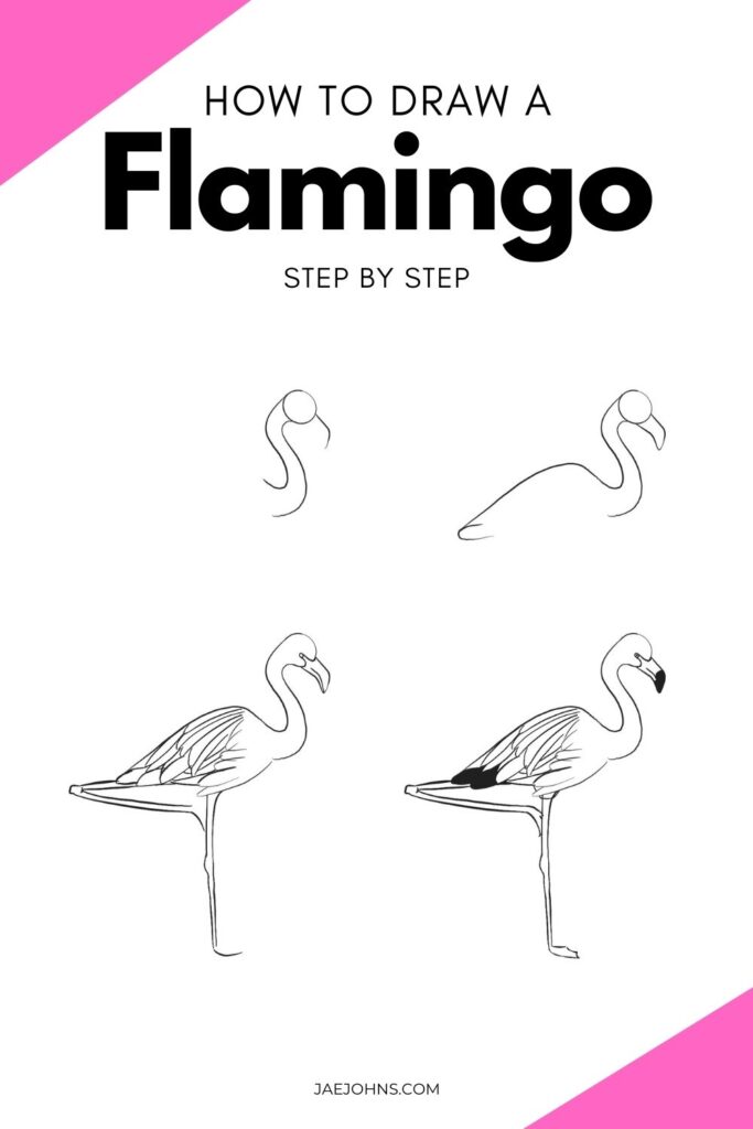 How to Draw a Flamingo Step-by-Step - Jae Johns