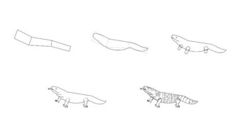 How to Draw a Gila Monster - 5 Easy Steps