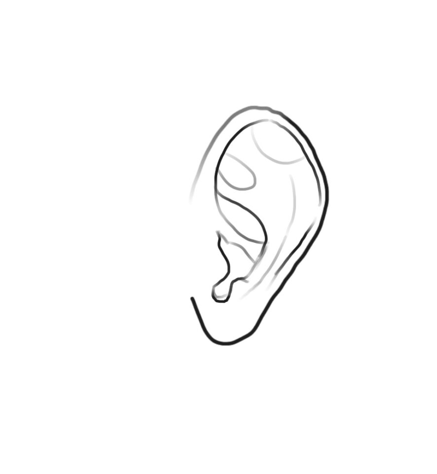 How to Draw an Ear (7 Easy Steps)
