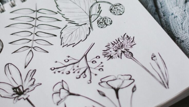 15 Expert Pen and Ink Drawing Techniques