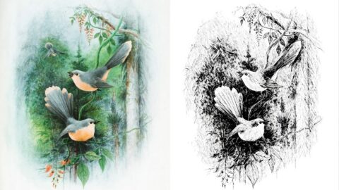 Drawing Vs Painting: 9 Differences You Must Know