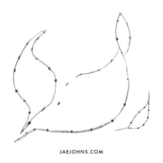 15 Best Line Exercises to Practice Drawing