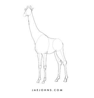 How to Draw a Giraffe