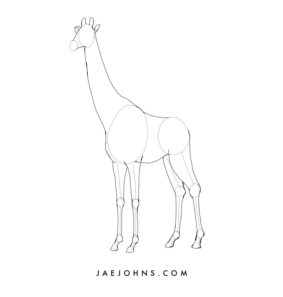 How to Draw a Giraffe