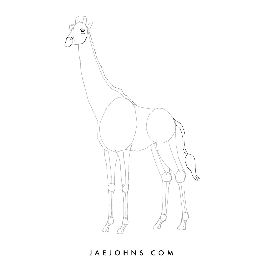 How to Draw a Giraffe
