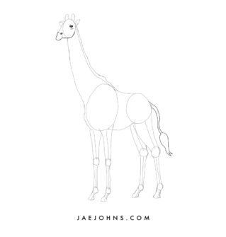 How to Draw a Giraffe