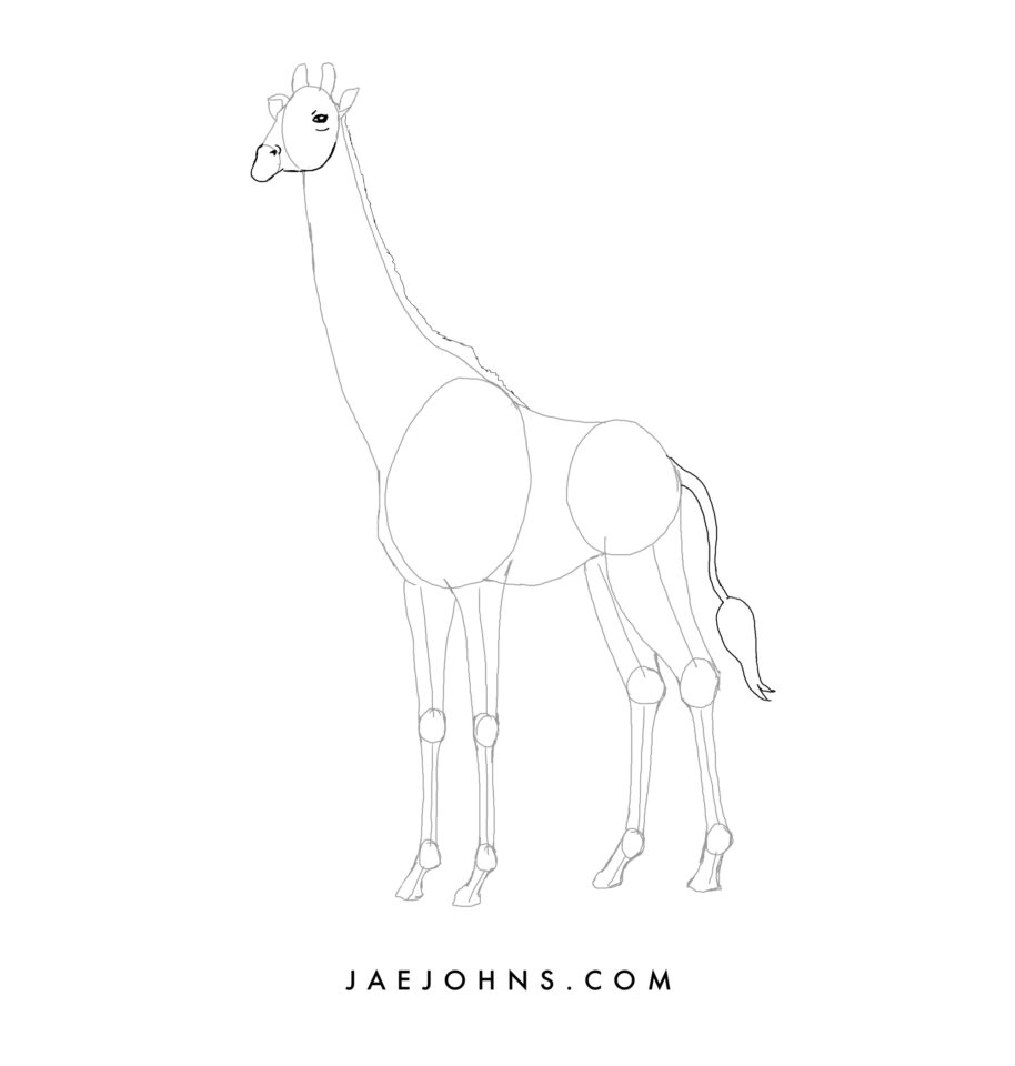 How to Draw a Giraffe
