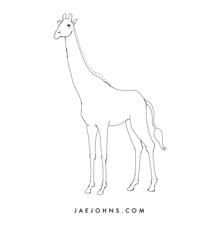 How to Draw a Giraffe