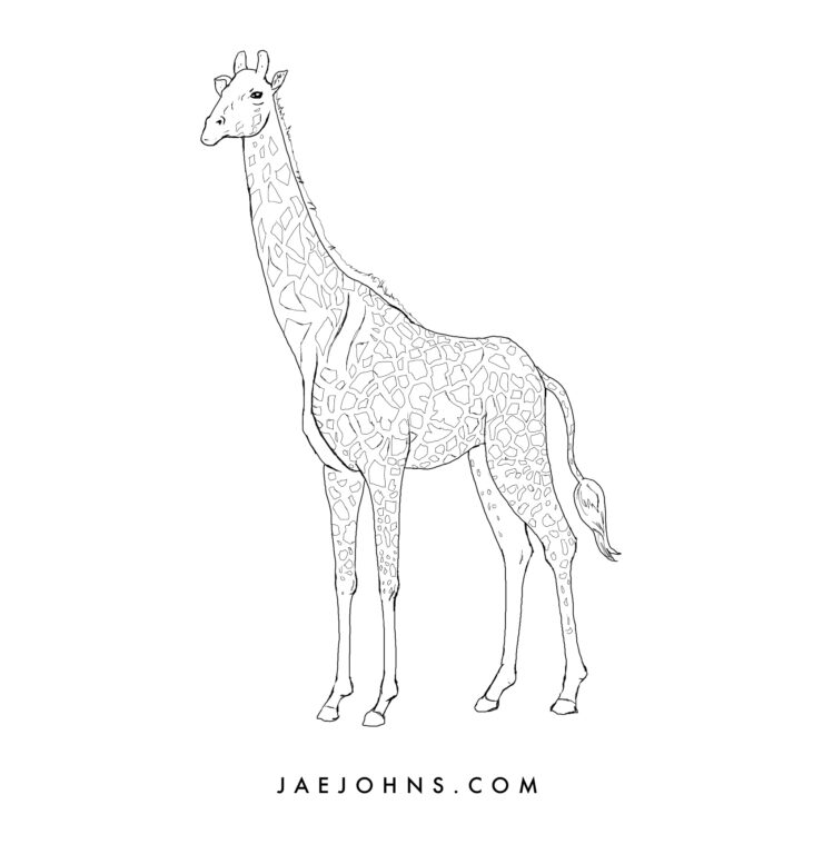 How to Draw a Giraffe
