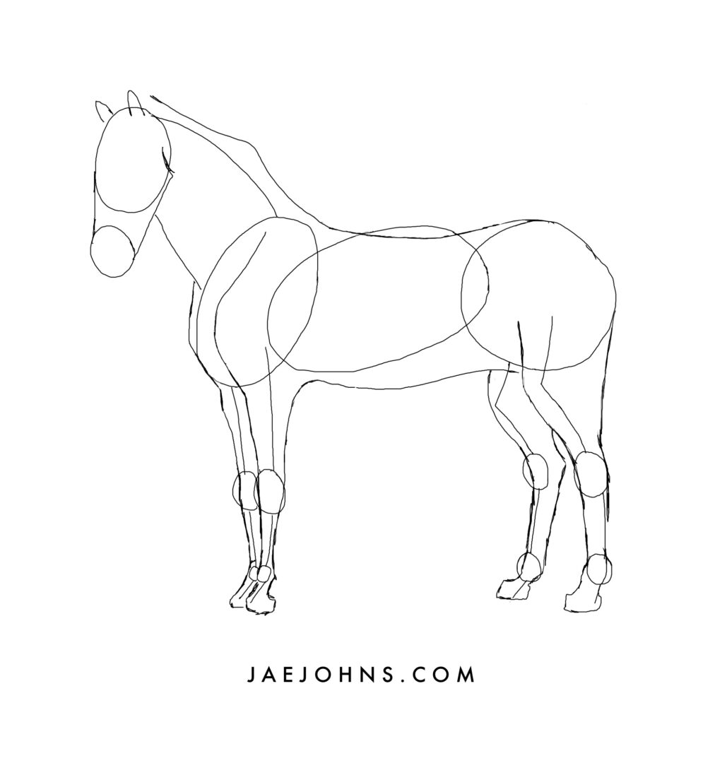How to Draw a Horse