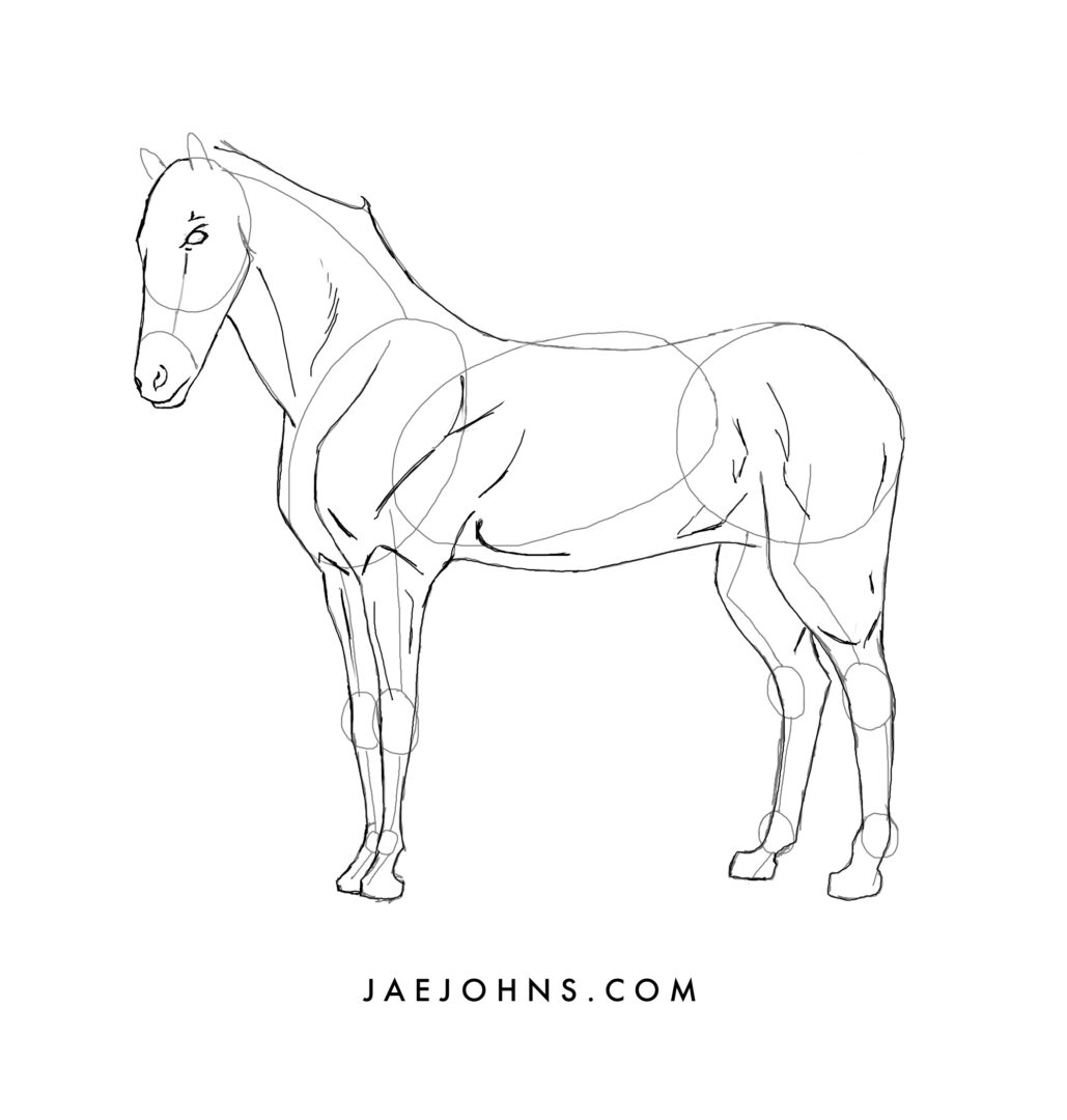 How to Draw a Horse