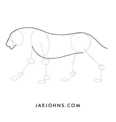 How to Draw a Lion