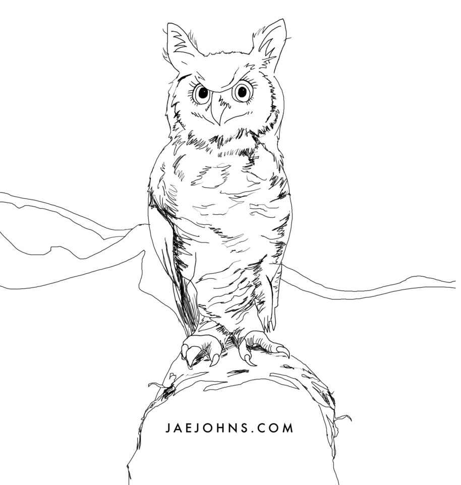How to Draw an Owl