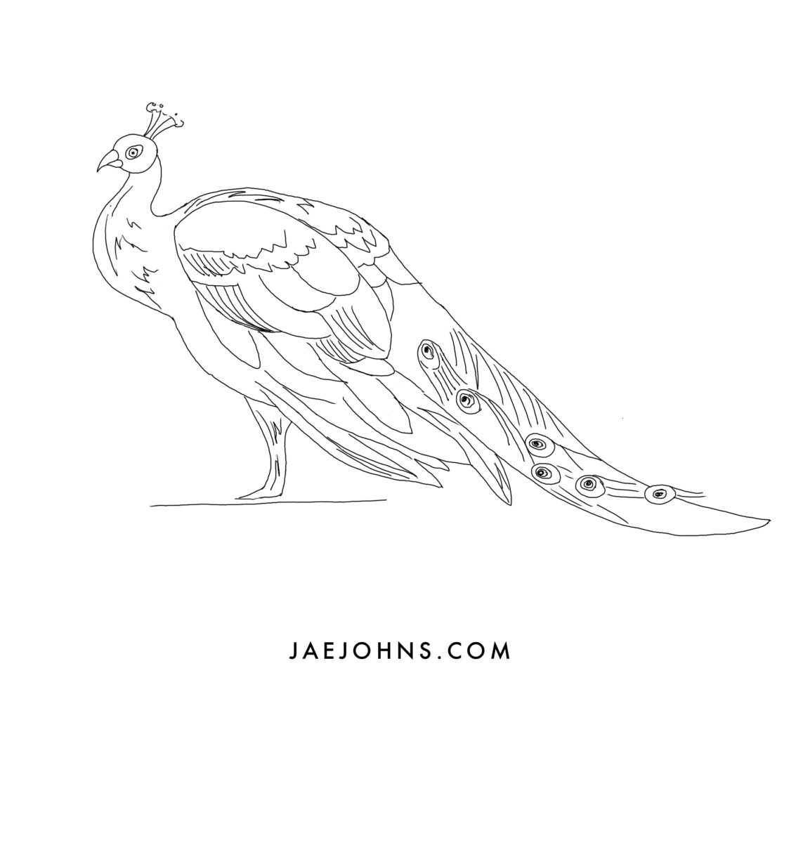 How to Draw a Peacock